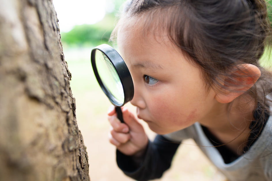 6 Warm Weather Activities to Keep Kids Entertained – Natural Wellbeing