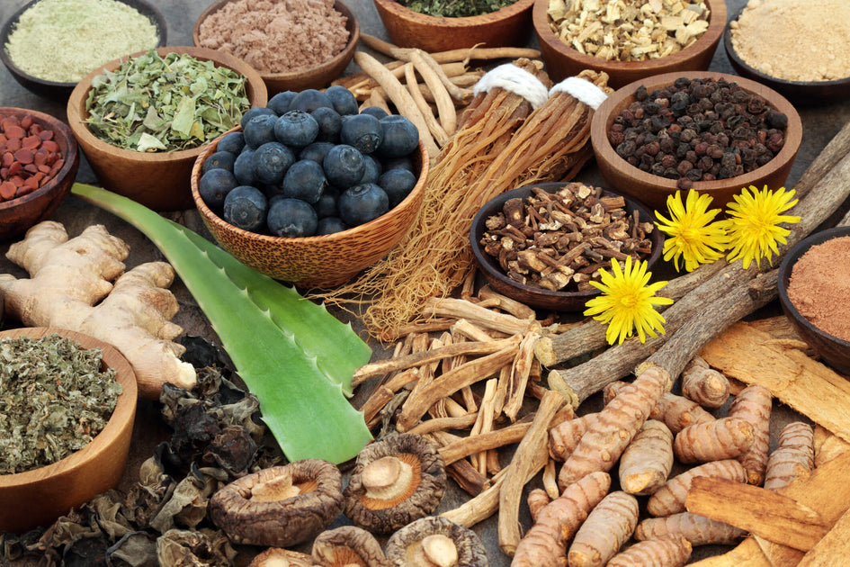 What Are Adaptogens? Meet 5 of the Most Powerful Ones – Natural Wellbeing