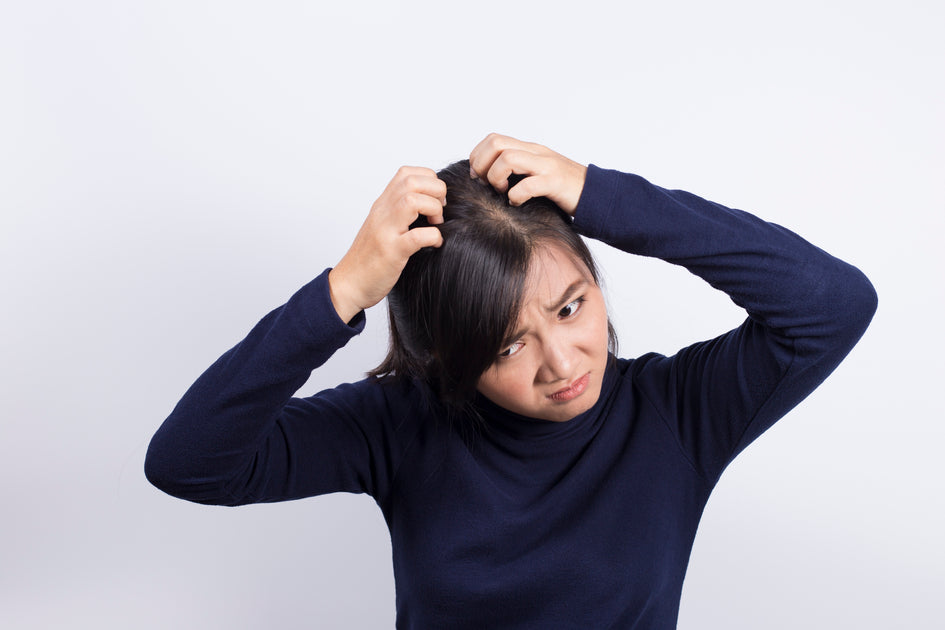 Stop Itching and Scratching Your Scalp So Much! – Natural Wellbeing